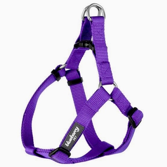 Blueberry Pet | Dog | New Small Blueberry Pet Adjustable Buckle Harness ...
